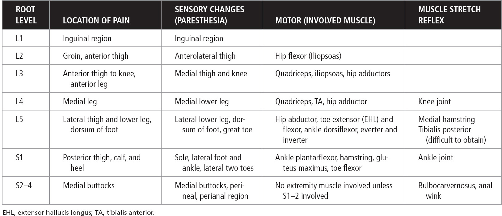 BACK | Musculoskeletal Key