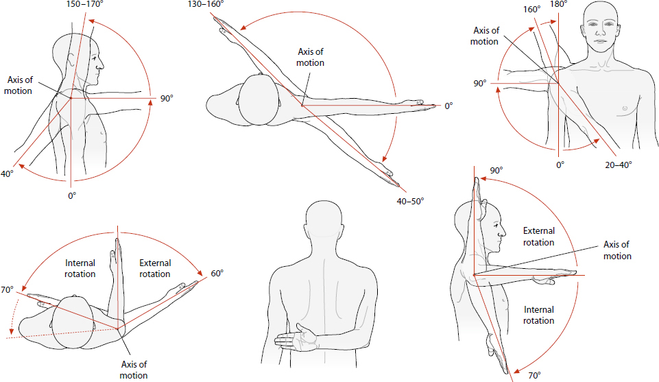 Range Of Motion Of The Elbow Joint A Flexion