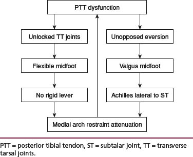 Flatfoot Surgery Musculoskeletal Key