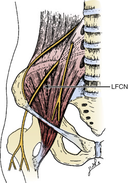 Lower Extremity Lateral Femoral Cutaneous Nerve Block