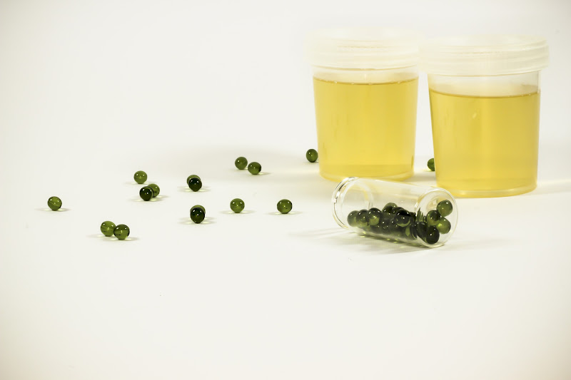 Best Synthetic Urine Kits: 5 Fake Pee Products in 2026 ...